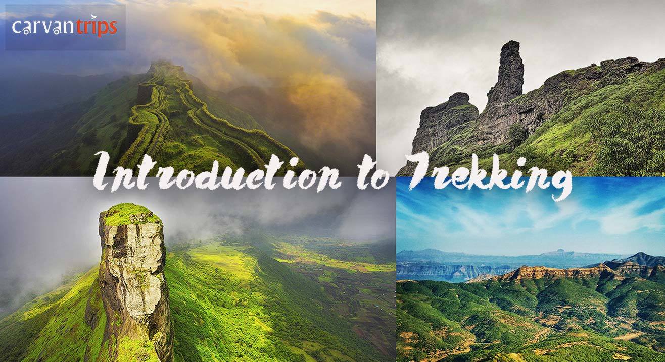 Book tickets to Introduction to Trekking to Kothaligad (Peth) Fort