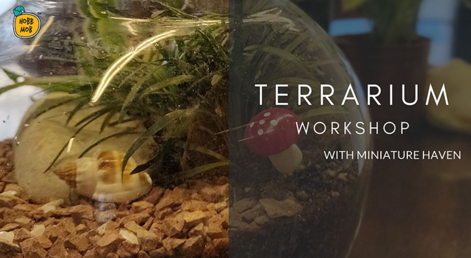 Terrarium Workshop