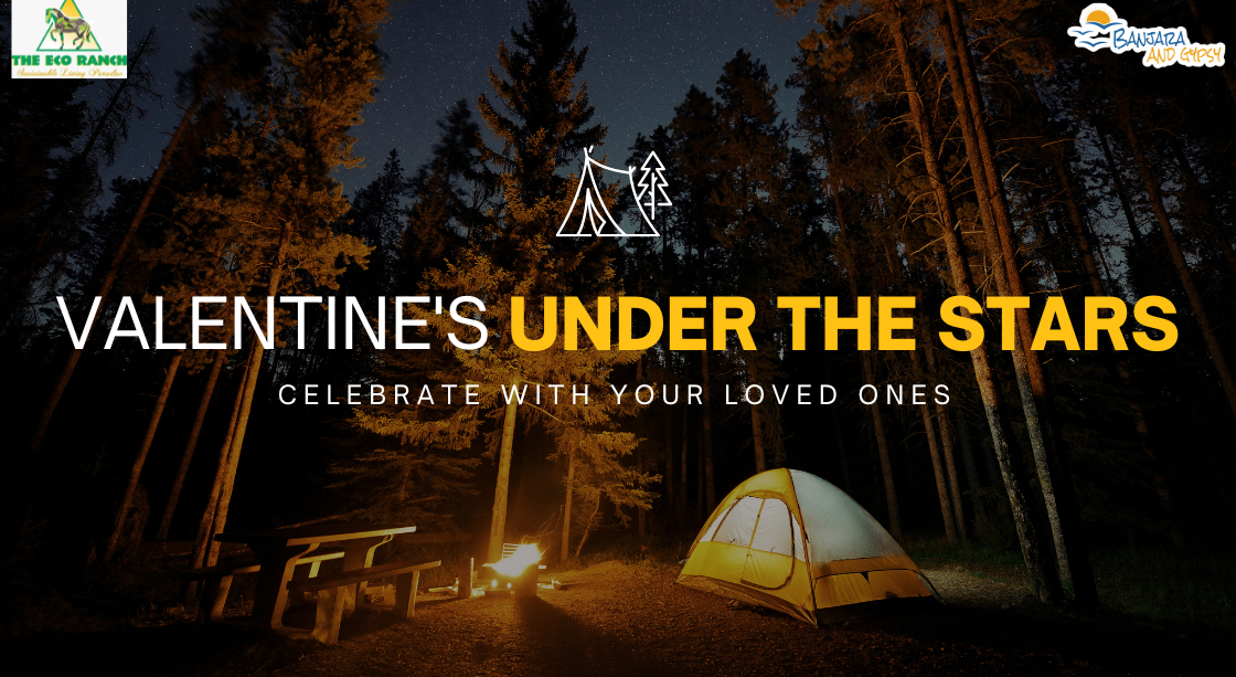 Valentine's under the Stars
