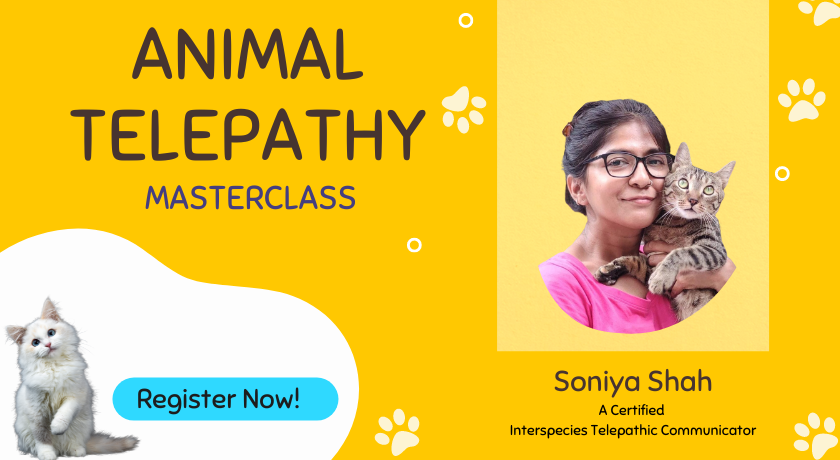 Masterclass on Animal Telepathy with Soniya Shah