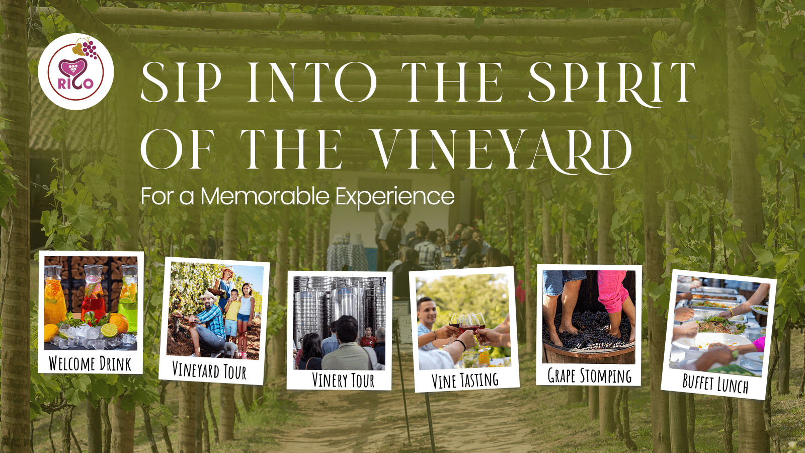 Rico Wine Tour | Event in Bengaluru